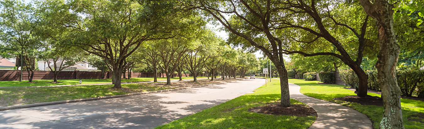 Scheduled Tree Maintenance Procedures